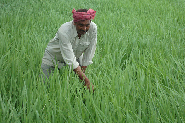 Welcome Krishi Vigyan Kendra, Varanasi