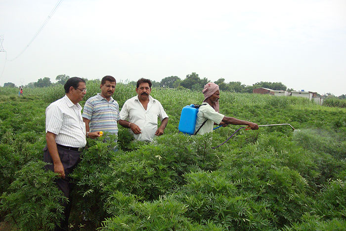 Welcome Krishi Vigyan Kendra, Varanasi